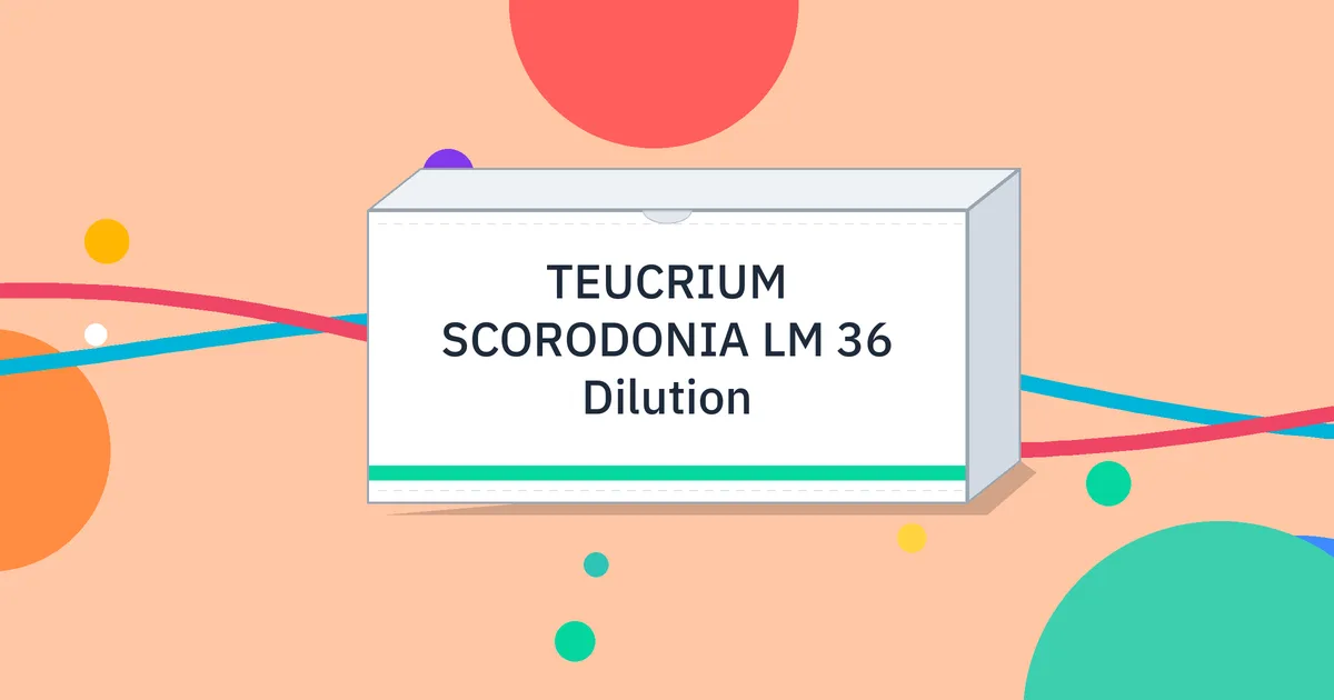 Symbolbild: Packung mit der Aufschrift TEUCRIUM SCORODONIA LM 36 Dilution (PZN 13217787) – Verfügbarkeit und Bezug in Apotheken in Frankfurt am Main