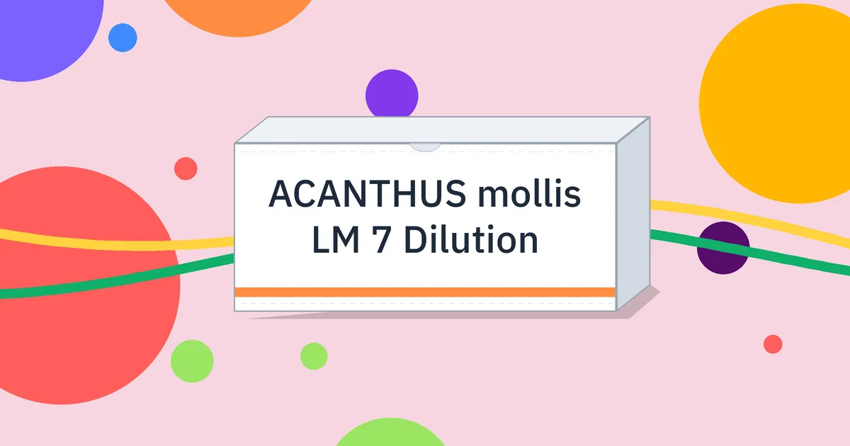 Symbolbild: Packung mit der Aufschrift ACANTHUS mollis LM 7 Dilution (PZN 13263149) – Verfügbarkeit und Bezug in Apotheken in Frankfurt am Main