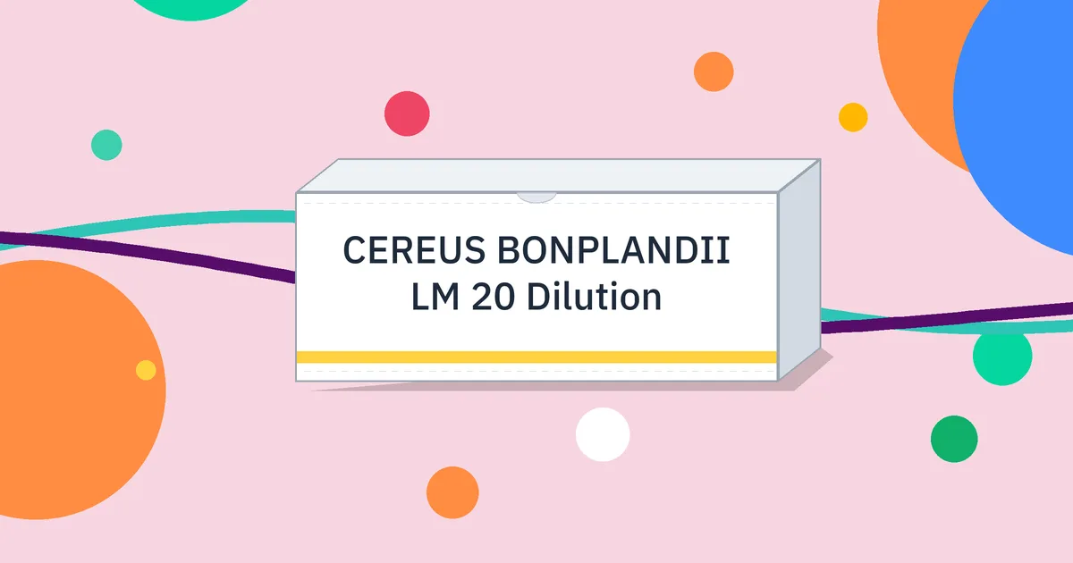 Symbolbild: Packung mit der Aufschrift CEREUS BONPLANDII LM 20 Dilution (PZN 13437187) – Verfügbarkeit und Bezug in Apotheken in Frankfurt am Main