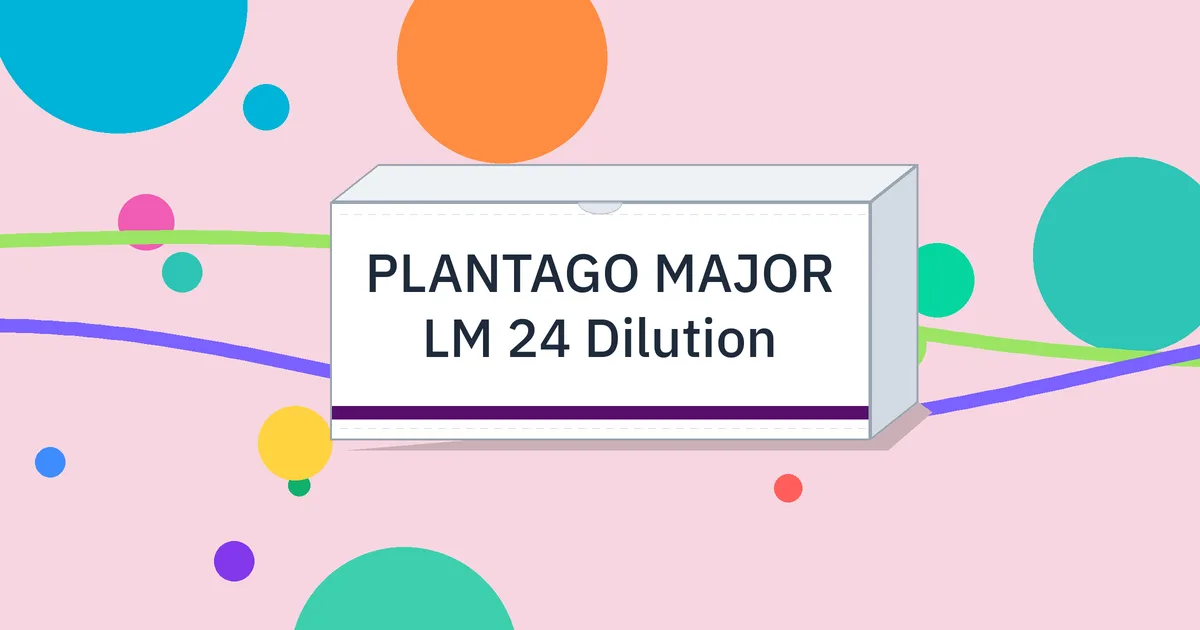 Symbolbild: Packung mit der Aufschrift PLANTAGO MAJOR LM 24 Dilution (PZN 13646850) – Verfügbarkeit und Bezug in Apotheken in Frankfurt am Main