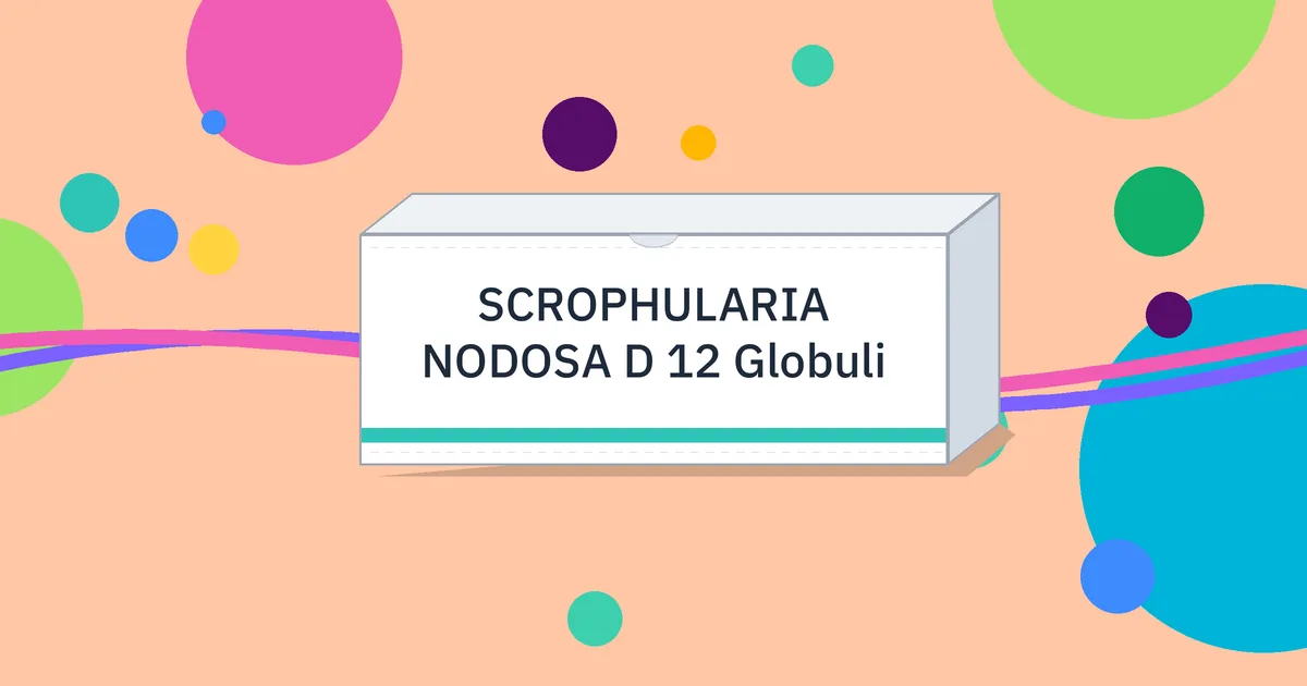 Symbolbild: Packung mit der Aufschrift SCROPHULARIA NODOSA D 12 Globuli (PZN 16693778) – Verfügbarkeit und Bezug in Apotheken in Frankfurt am Main