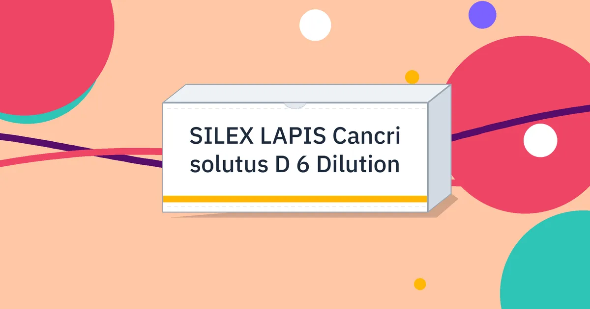 Symbolbild: Packung mit der Aufschrift SILEX LAPIS Cancri solutus D 6 Dilution (PZN 02705791) – Verfügbarkeit und Bezug in Apotheken in Frankfurt am Main