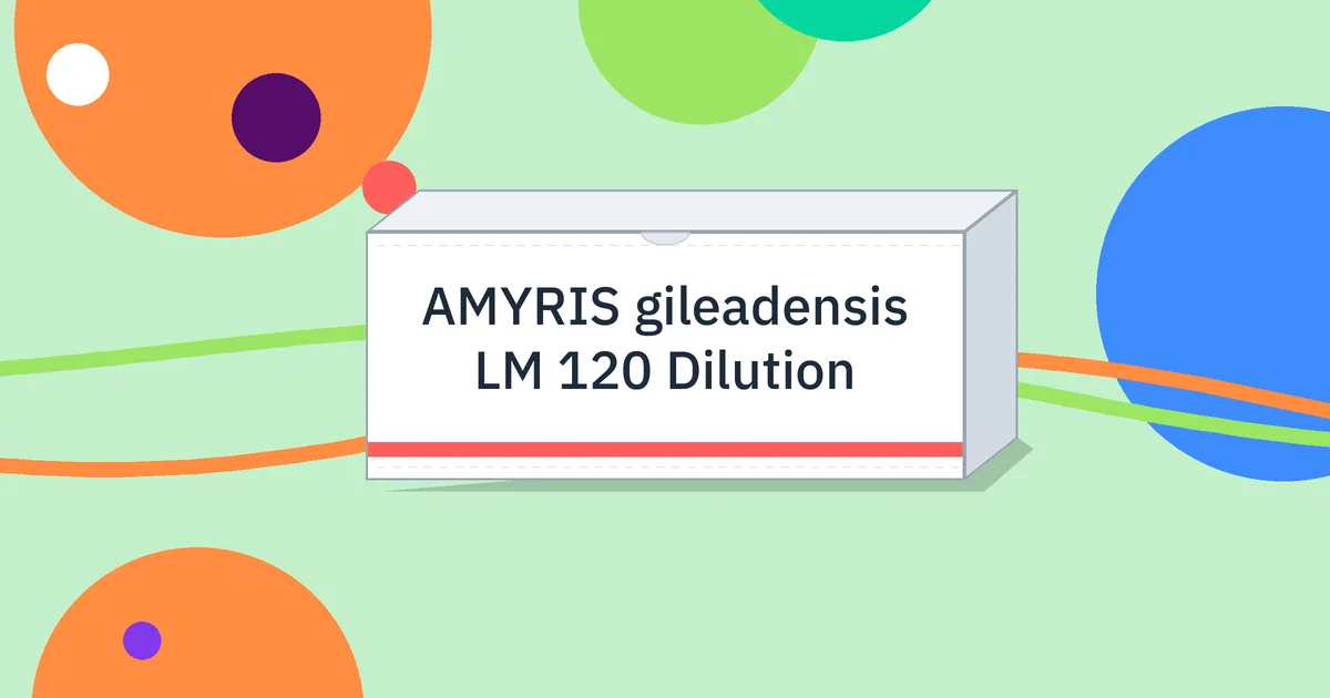 Symbolbild: Packung mit der Aufschrift AMYRIS gileadensis LM 120 Dilution (PZN 13327263) – Verfügbarkeit und Bezug in Apotheken in Frankfurt am Main