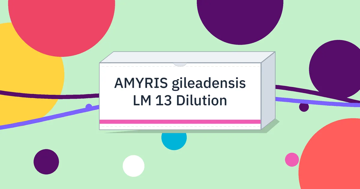 Symbolbild: Packung mit der Aufschrift AMYRIS gileadensis LM 13 Dilution (PZN 13326973) – Verfügbarkeit und Bezug in Apotheken in Frankfurt am Main