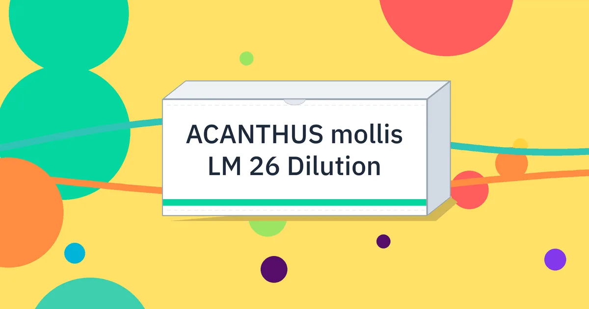 Symbolbild: Packung mit der Aufschrift ACANTHUS mollis LM 26 Dilution (PZN 13263540) – Verfügbarkeit und Bezug in Apotheken in Frankfurt am Main