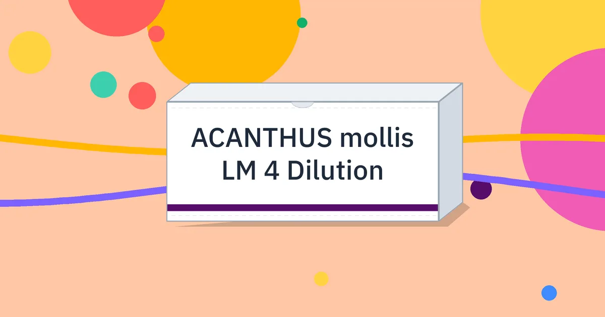 Symbolbild: Packung mit der Aufschrift ACANTHUS mollis LM 4 Dilution (PZN 13263043) – Verfügbarkeit und Bezug in Apotheken in Frankfurt am Main
