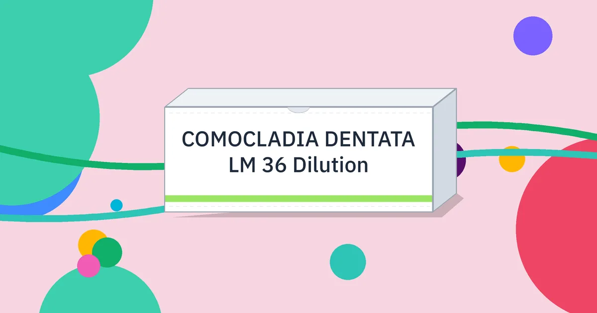 Symbolbild: Packung mit der Aufschrift COMOCLADIA DENTATA LM 36 Dilution (PZN 13449457) – Verfügbarkeit und Bezug in Apotheken in Frankfurt am Main