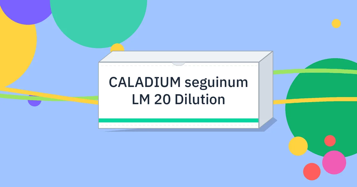 Symbolbild: Packung mit der Aufschrift CALADIUM seguinum LM 20 Dilution (PZN 13404058) – Verfügbarkeit und Bezug in Apotheken in Frankfurt am Main