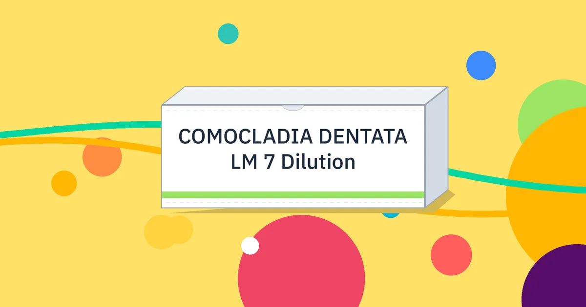 Symbolbild: Packung mit der Aufschrift COMOCLADIA DENTATA LM 7 Dilution (PZN 13449150) – Verfügbarkeit und Bezug in Apotheken in Frankfurt am Main