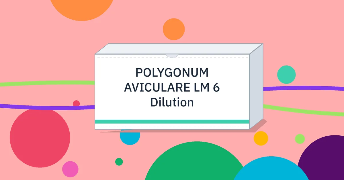 Symbolbild: Packung mit der Aufschrift POLYGONUM AVICULARE LM 6 Dilution (PZN 13661855) – Verfügbarkeit und Bezug in Apotheken in Frankfurt am Main
