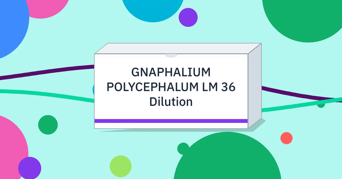 Symbolbild: Packung mit der Aufschrift GNAPHALIUM POLYCEPHALUM LM 36 Dilution (PZN 13545356) – Verfügbarkeit und Bezug in Apotheken in Frankfurt am Main