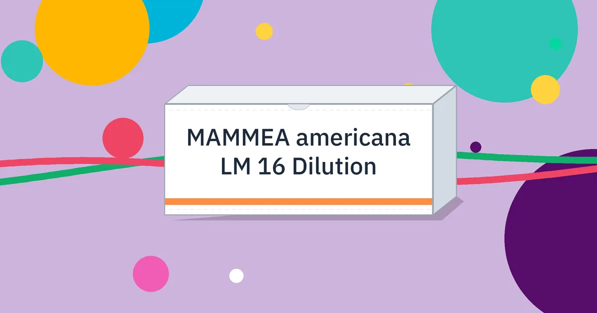 Symbolbild: Packung mit der Aufschrift MAMMEA americana LM 16 Dilution (PZN 13540382) – Verfügbarkeit und Bezug in Apotheken in Frankfurt am Main