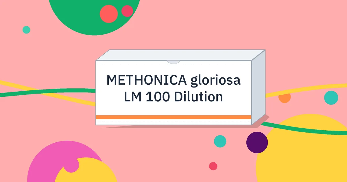 Symbolbild: Packung mit der Aufschrift METHONICA gloriosa LM 100 Dilution (PZN 13606833) – Verfügbarkeit und Bezug in Apotheken in Frankfurt am Main