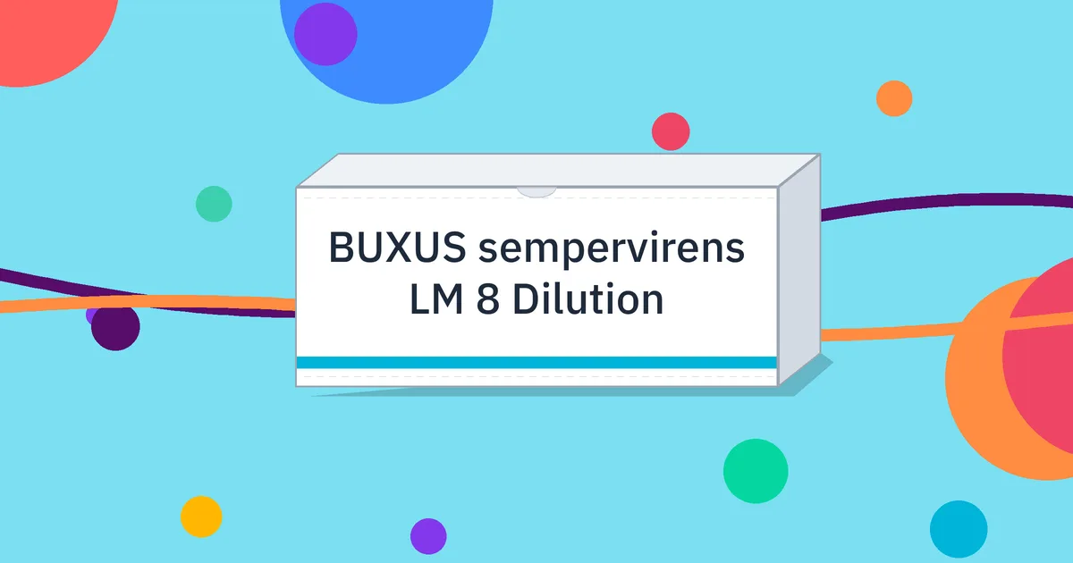 Symbolbild: Packung mit der Aufschrift BUXUS sempervirens LM 8 Dilution (PZN 13399104) – Verfügbarkeit und Bezug in Apotheken in Frankfurt am Main