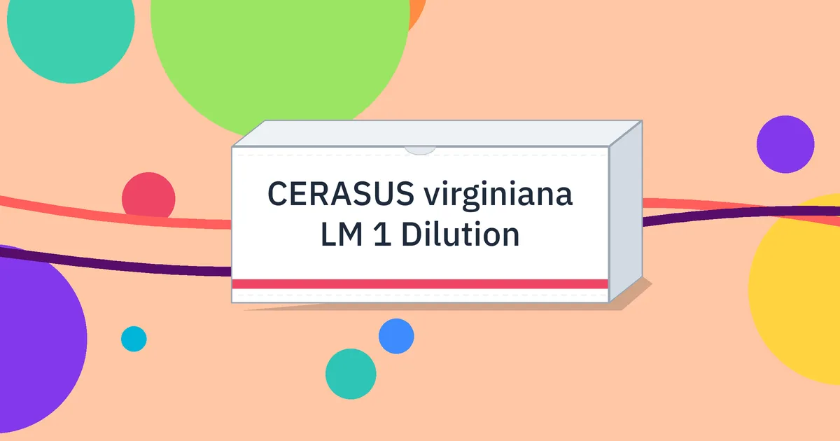 Symbolbild: Packung mit der Aufschrift CERASUS virginiana LM 1 Dilution (PZN 13436495) – Verfügbarkeit und Bezug in Apotheken in Frankfurt am Main