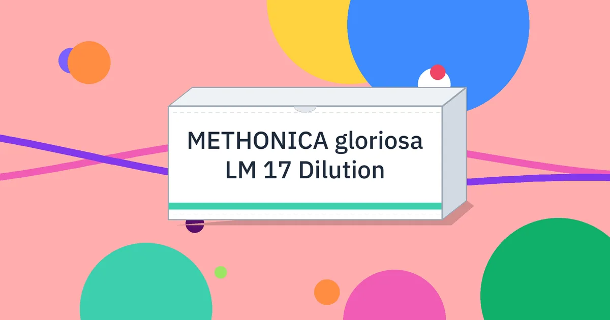 Symbolbild: Packung mit der Aufschrift METHONICA gloriosa LM 17 Dilution (PZN 13606632) – Verfügbarkeit und Bezug in Apotheken in Frankfurt am Main