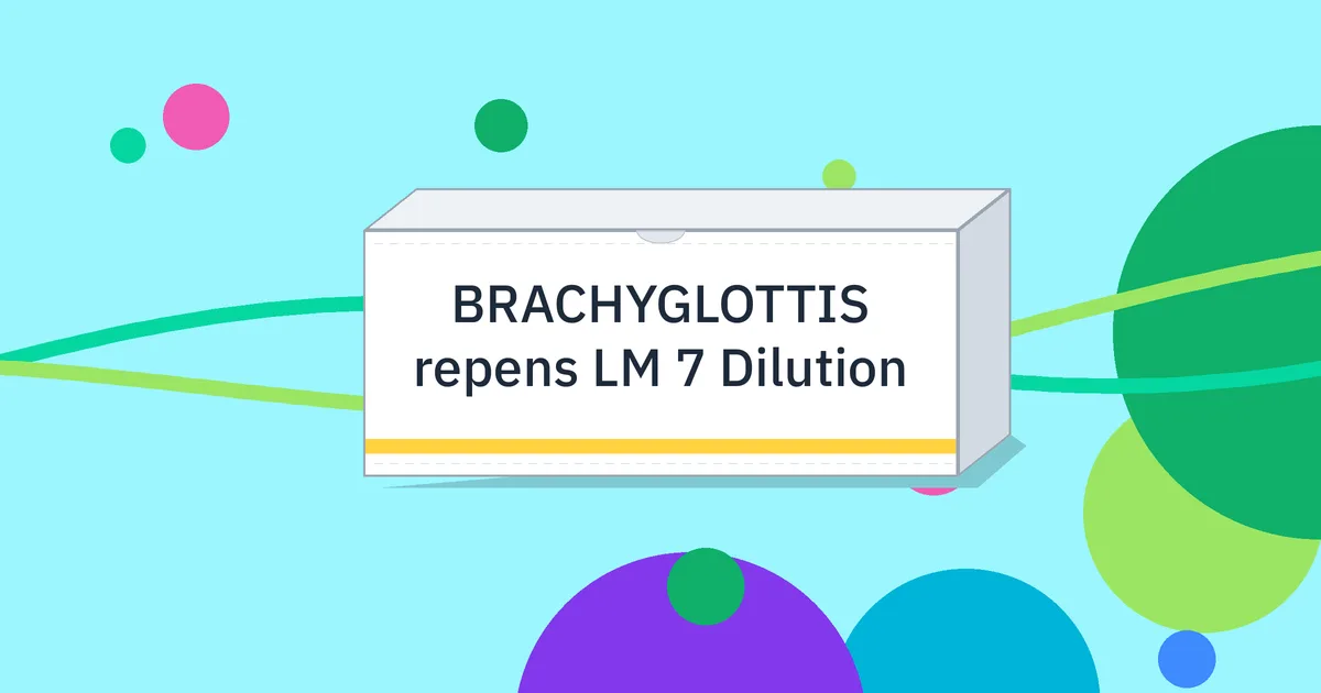 Symbolbild: Packung mit der Aufschrift BRACHYGLOTTIS repens LM 7 Dilution (PZN 13394727) – Verfügbarkeit und Bezug in Apotheken in Frankfurt am Main