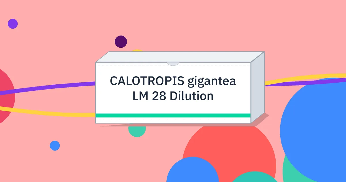Symbolbild: Packung mit der Aufschrift CALOTROPIS gigantea LM 28 Dilution (PZN 13411325) – Verfügbarkeit und Bezug in Apotheken in Frankfurt am Main