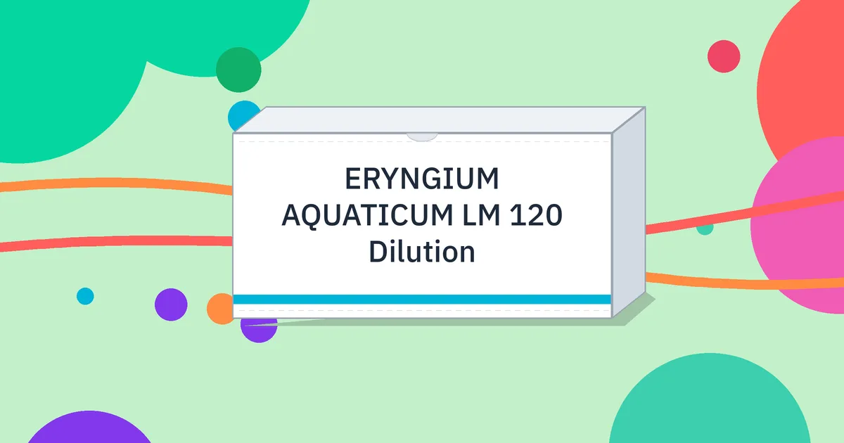 Symbolbild: Packung mit der Aufschrift ERYNGIUM AQUATICUM LM 120 Dilution (PZN 13478884) – Verfügbarkeit und Bezug in Apotheken in Frankfurt am Main