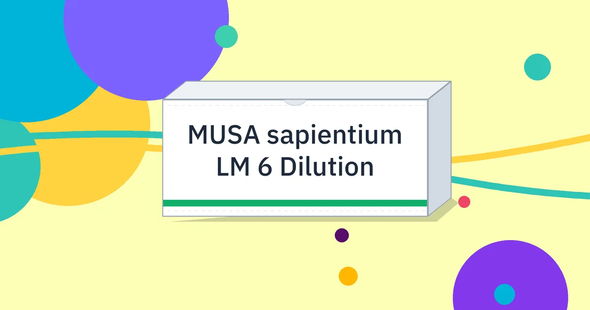 Symbolbild: Packung mit der Aufschrift MUSA sapientium LM 6 Dilution (PZN 13611604) – Verfügbarkeit und Bezug in Apotheken in Frankfurt am Main