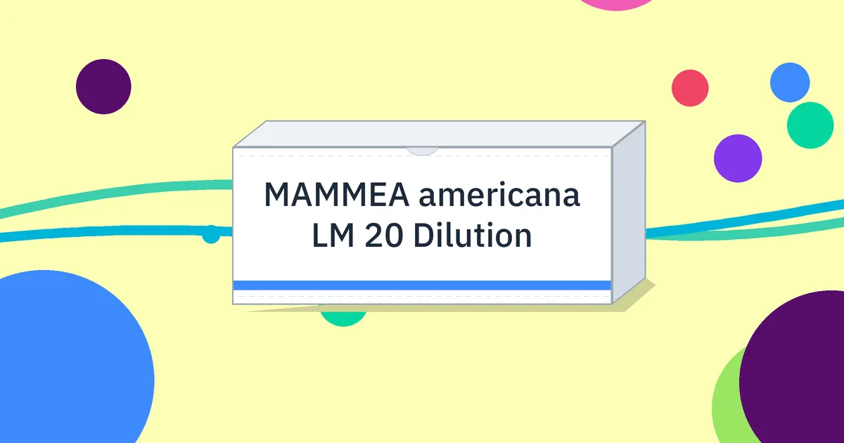 Symbolbild: Packung mit der Aufschrift MAMMEA americana LM 20 Dilution (PZN 13540436) – Verfügbarkeit und Bezug in Apotheken in Frankfurt am Main