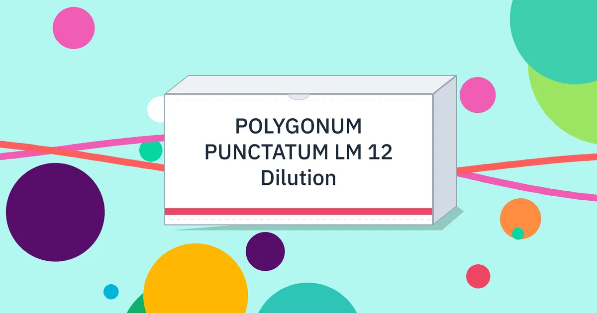 Symbolbild: Packung mit der Aufschrift POLYGONUM PUNCTATUM LM 12 Dilution (PZN 13662889) – Verfügbarkeit und Bezug in Apotheken in Frankfurt am Main