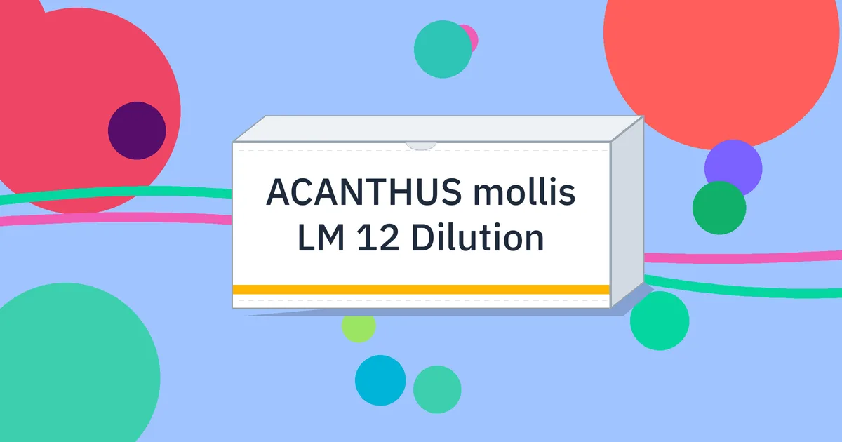 Symbolbild: Packung mit der Aufschrift ACANTHUS mollis LM 12 Dilution (PZN 13263244) – Verfügbarkeit und Bezug in Apotheken in Frankfurt am Main