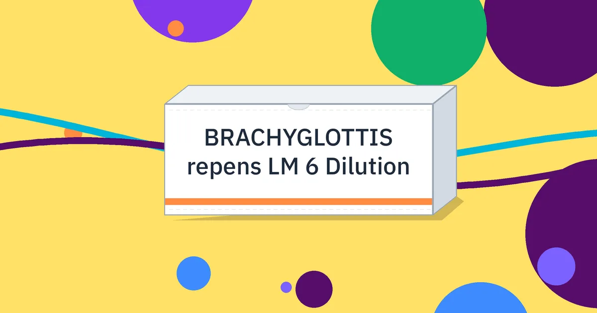 Symbolbild: Packung mit der Aufschrift BRACHYGLOTTIS repens LM 6 Dilution (PZN 13394704) – Verfügbarkeit und Bezug in Apotheken in Frankfurt am Main