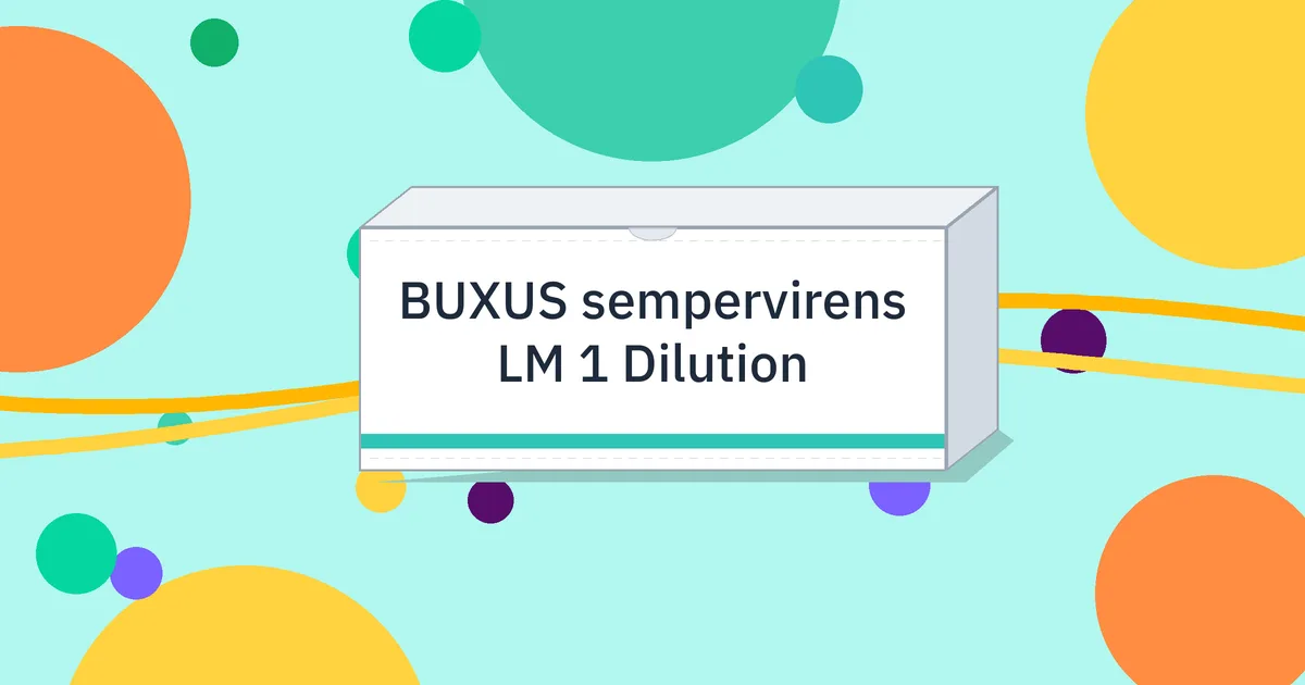 Symbolbild: Packung mit der Aufschrift BUXUS sempervirens LM 1 Dilution (PZN 13398949) – Verfügbarkeit und Bezug in Apotheken in Frankfurt am Main
