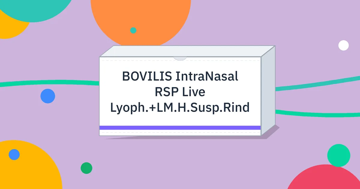 Symbolbild: Packung mit der Aufschrift BOVILIS IntraNasal RSP Live Lyoph.+LM.H.Susp.Rind (PZN 19362622) – Verfügbarkeit und Bezug in Apotheken in Frankfurt am Main