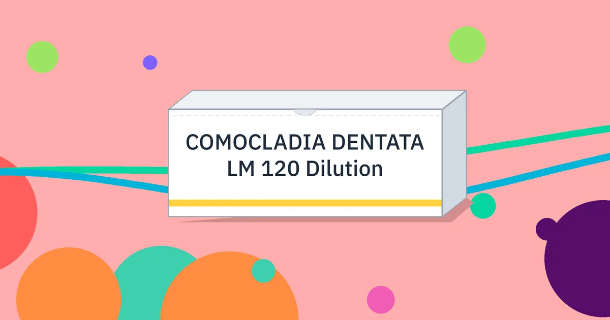 Symbolbild: Packung mit der Aufschrift COMOCLADIA DENTATA LM 120 Dilution (PZN 13449546) – Verfügbarkeit und Bezug in Apotheken in Frankfurt am Main