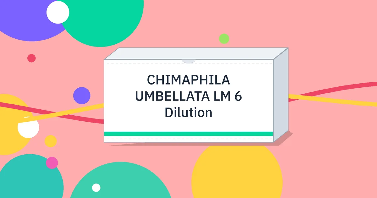 Symbolbild: Packung mit der Aufschrift CHIMAPHILA UMBELLATA LM 6 Dilution (PZN 12813300) – Verfügbarkeit und Bezug in Apotheken in Frankfurt am Main