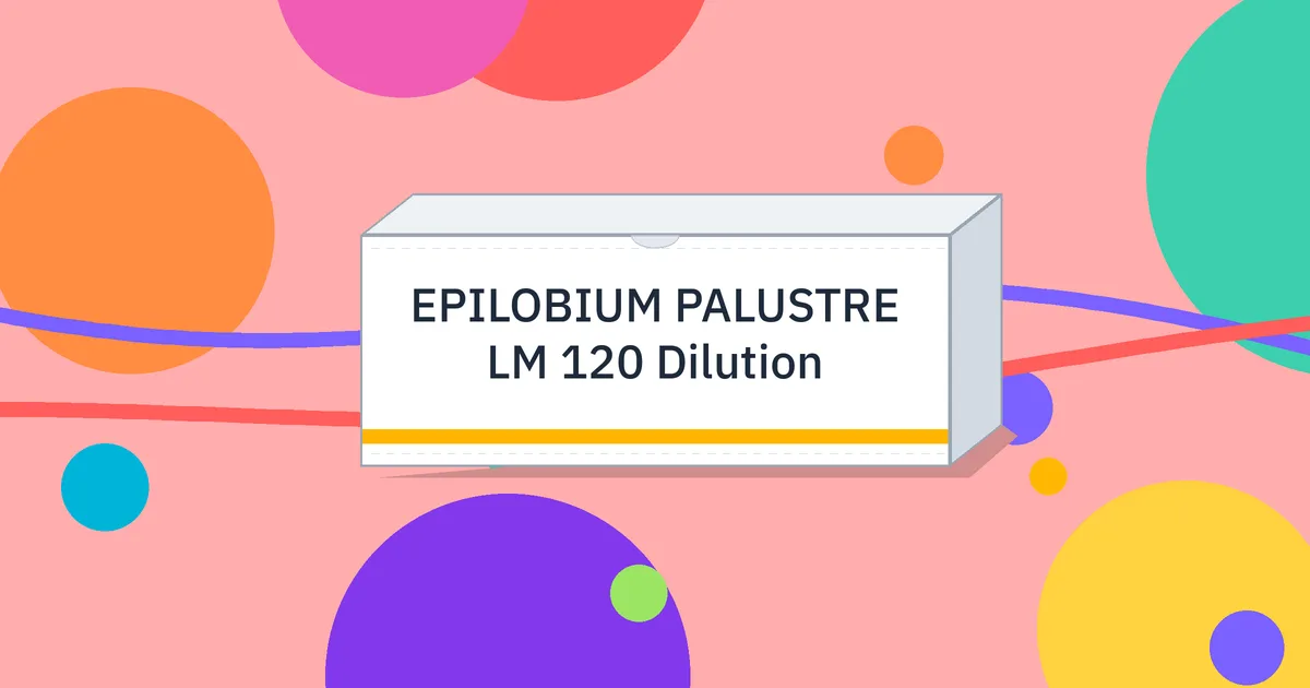 Symbolbild: Packung mit der Aufschrift EPILOBIUM PALUSTRE LM 120 Dilution (PZN 13472410) – Verfügbarkeit und Bezug in Apotheken in Frankfurt am Main