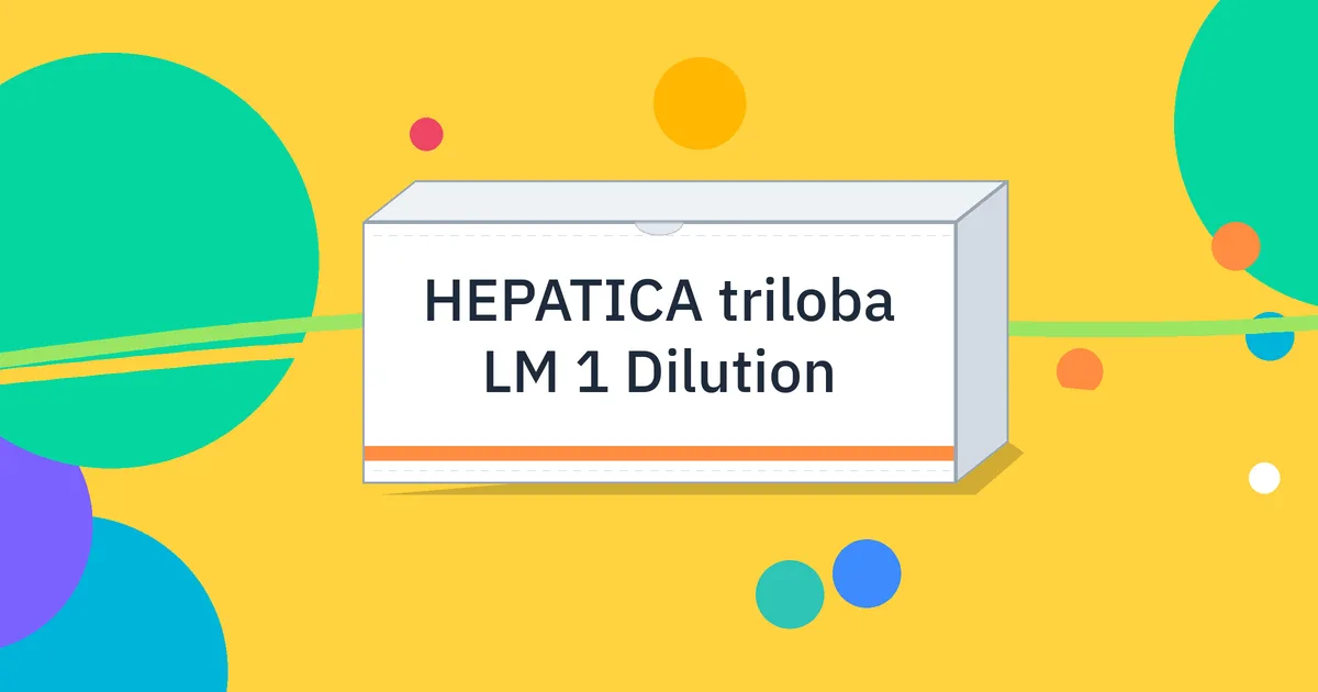 Symbolbild: Packung mit der Aufschrift HEPATICA triloba LM 1 Dilution (PZN 13551960) – Verfügbarkeit und Bezug in Apotheken in Frankfurt am Main