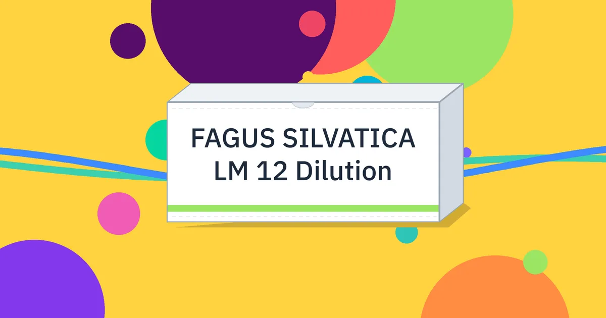 Symbolbild: Packung mit der Aufschrift FAGUS SILVATICA LM 12 Dilution (PZN 13486955) – Verfügbarkeit und Bezug in Apotheken in Frankfurt am Main