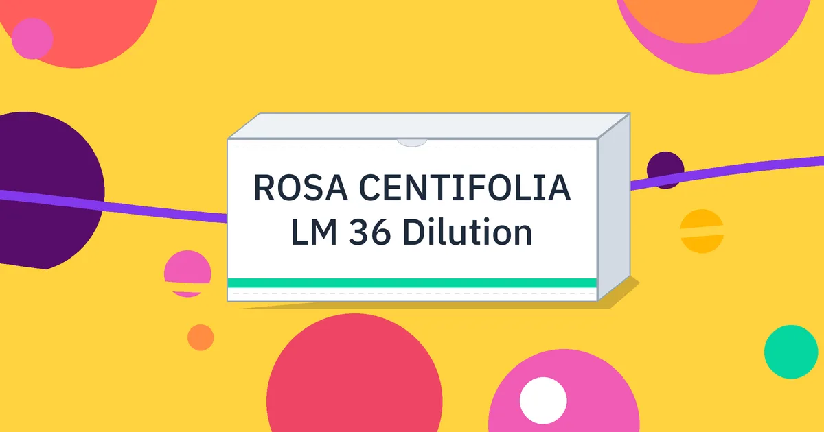Symbolbild: Packung mit der Aufschrift ROSA CENTIFOLIA LM 36 Dilution (PZN 13056048) – Verfügbarkeit und Bezug in Apotheken in Frankfurt am Main