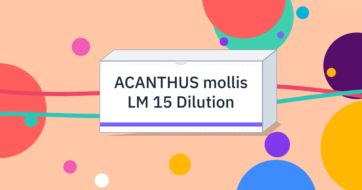 Symbolbild: Packung mit der Aufschrift ACANTHUS mollis LM 15 Dilution (PZN 13263304) – Verfügbarkeit und Bezug in Apotheken in Frankfurt am Main