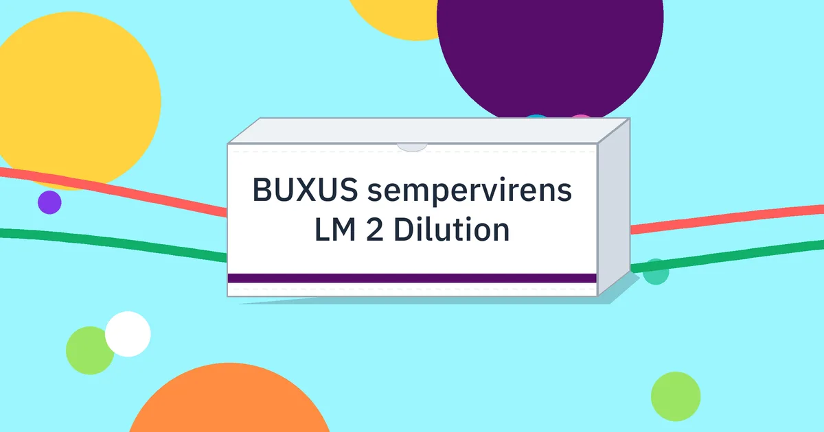 Symbolbild: Packung mit der Aufschrift BUXUS sempervirens LM 2 Dilution (PZN 13398961) – Verfügbarkeit und Bezug in Apotheken in Frankfurt am Main