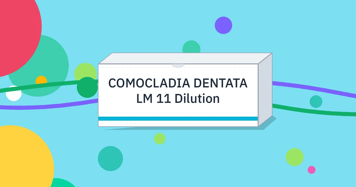 Symbolbild: Packung mit der Aufschrift COMOCLADIA DENTATA LM 11 Dilution (PZN 13449204) – Verfügbarkeit und Bezug in Apotheken in Frankfurt am Main