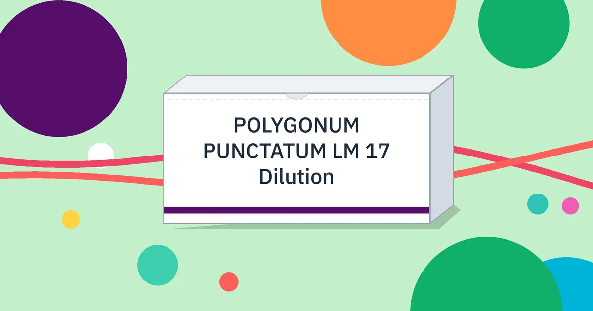 Symbolbild: Packung mit der Aufschrift POLYGONUM PUNCTATUM LM 17 Dilution (PZN 13662949) – Verfügbarkeit und Bezug in Apotheken in Frankfurt am Main