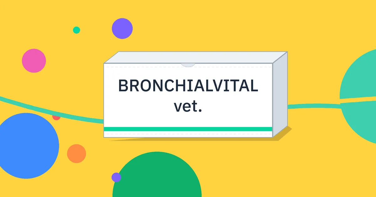 Symbolbild: Packung mit der Aufschrift BRONCHIALVITAL vet. (PZN 02487265) – Verfügbarkeit und Bezug in Apotheken in Frankfurt am Main