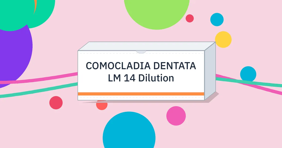 Symbolbild: Packung mit der Aufschrift COMOCLADIA DENTATA LM 14 Dilution (PZN 13449233) – Verfügbarkeit und Bezug in Apotheken in Frankfurt am Main