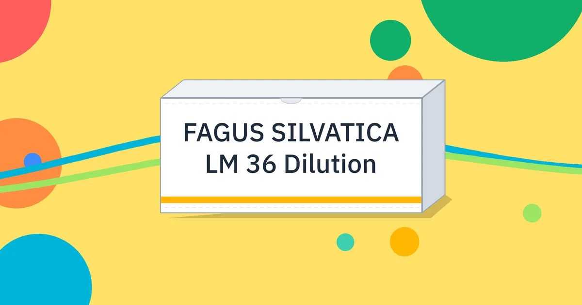 Symbolbild: Packung mit der Aufschrift FAGUS SILVATICA LM 36 Dilution (PZN 13487191) – Verfügbarkeit und Bezug in Apotheken in Frankfurt am Main