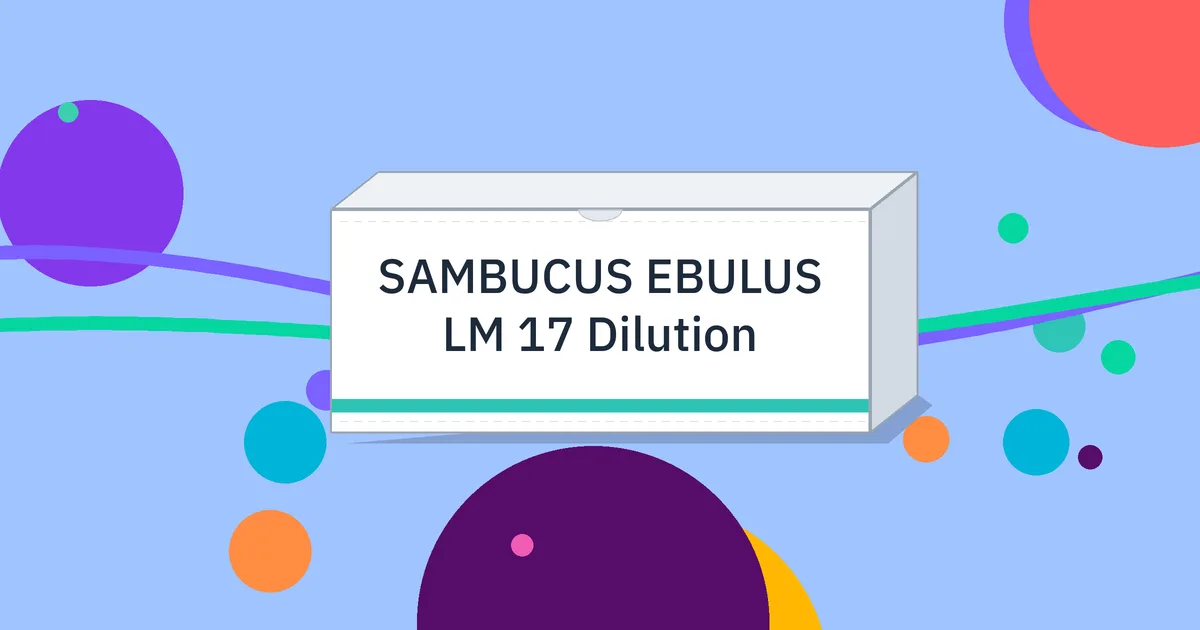Symbolbild: Packung mit der Aufschrift SAMBUCUS EBULUS LM 17 Dilution (PZN 13180498) – Verfügbarkeit und Bezug in Apotheken in Frankfurt am Main