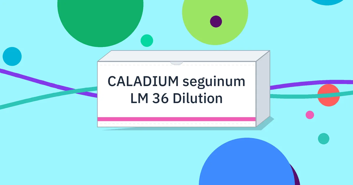 Symbolbild: Packung mit der Aufschrift CALADIUM seguinum LM 36 Dilution (PZN 13404294) – Verfügbarkeit und Bezug in Apotheken in Frankfurt am Main