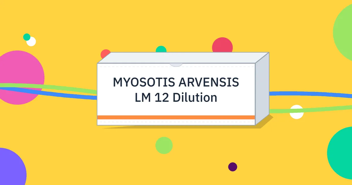 Symbolbild: Packung mit der Aufschrift MYOSOTIS ARVENSIS LM 12 Dilution (PZN 13612118) – Verfügbarkeit und Bezug in Apotheken in Frankfurt am Main