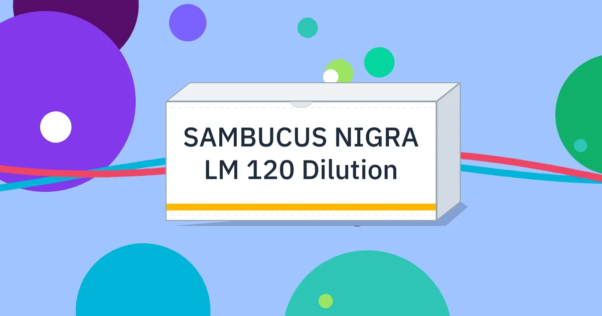 Symbolbild: Packung mit der Aufschrift SAMBUCUS NIGRA LM 120 Dilution (PZN 13181552) – Verfügbarkeit und Bezug in Apotheken in Frankfurt am Main