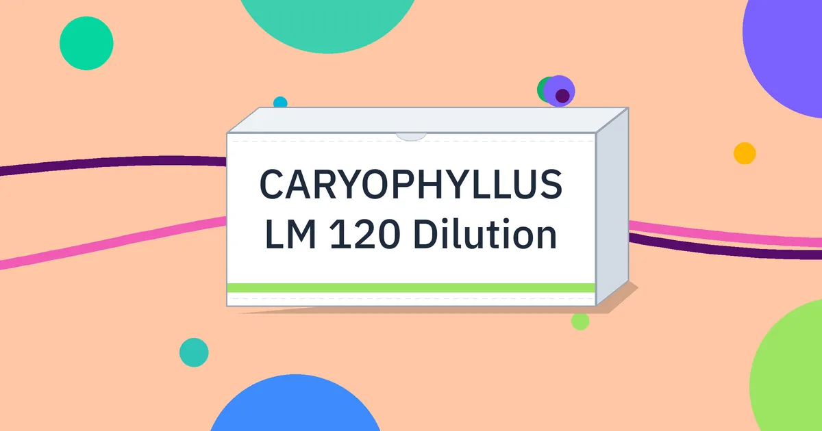 Symbolbild: Packung mit der Aufschrift CARYOPHYLLUS LM 120 Dilution (PZN 13432267) – Verfügbarkeit und Bezug in Apotheken in Frankfurt am Main