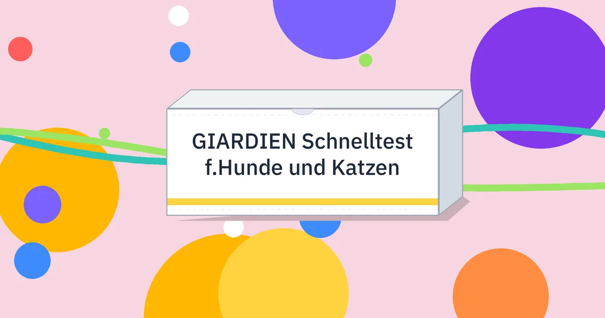Symbolbild: Packung mit der Aufschrift GIARDIEN Schnelltest f.Hunde und Katzen (PZN 18374190) – Verfügbarkeit und Bezug in Apotheken in Frankfurt am Main