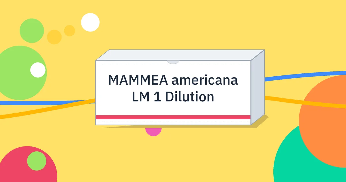 Symbolbild: Packung mit der Aufschrift MAMMEA americana LM 1 Dilution (PZN 13540206) – Verfügbarkeit und Bezug in Apotheken in Frankfurt am Main